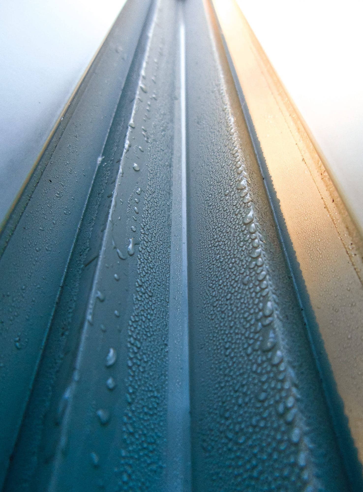 Why You Should Consider Gutter Guards for Your Home - Rogue Valley Roofing